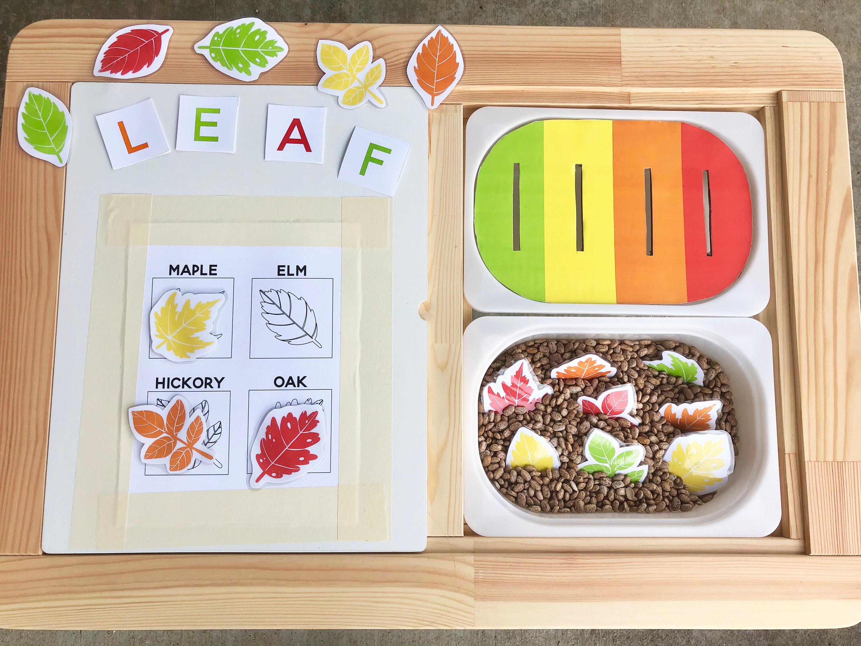 FALL Leaves Printable Toddler Activity Set Play Ideas - Etsy