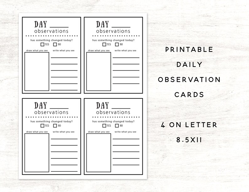 Observation Card Printable Learning Materials // 4 to a Letter Page PDF ...