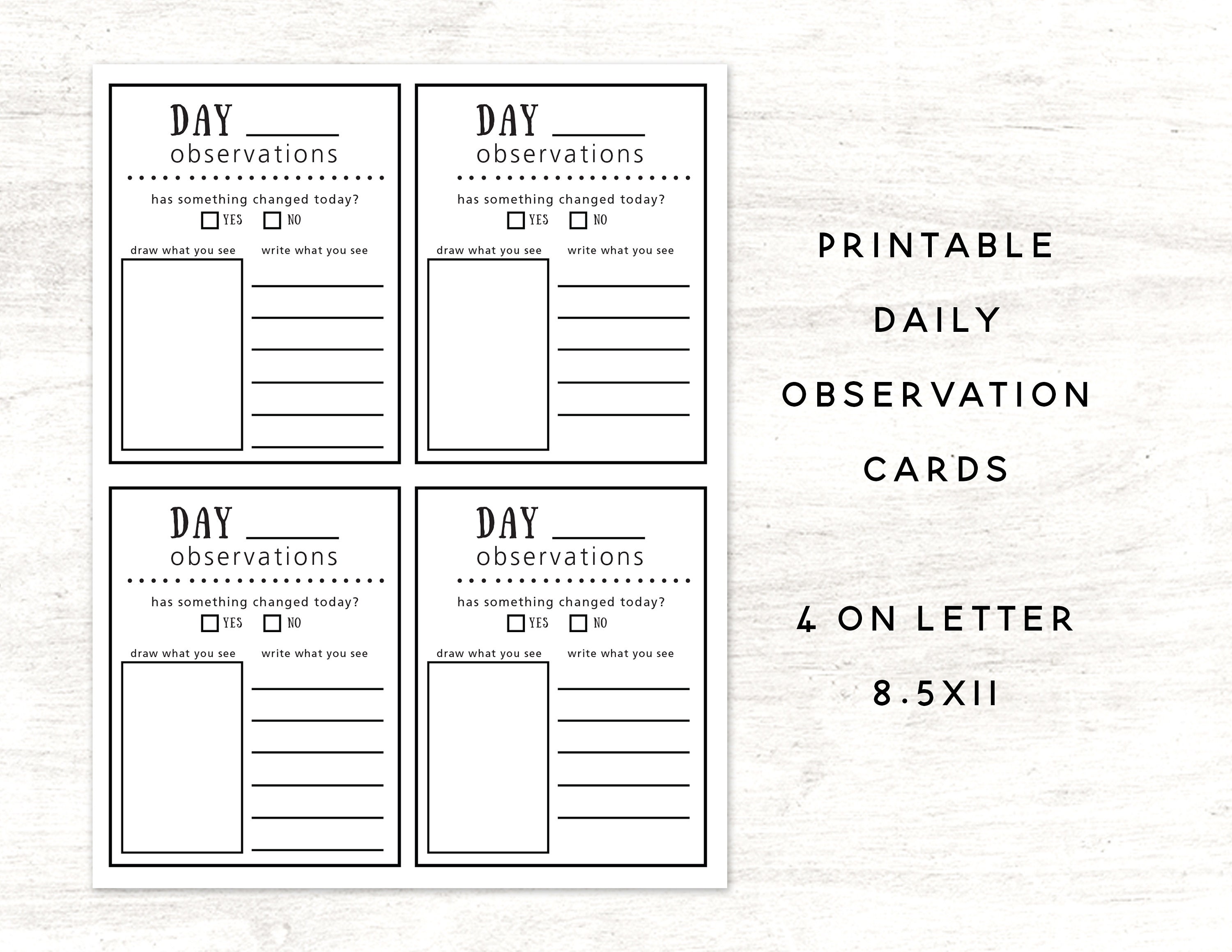 Observation Card Printable Learning Materials // 4 to a Letter Page PDF ...