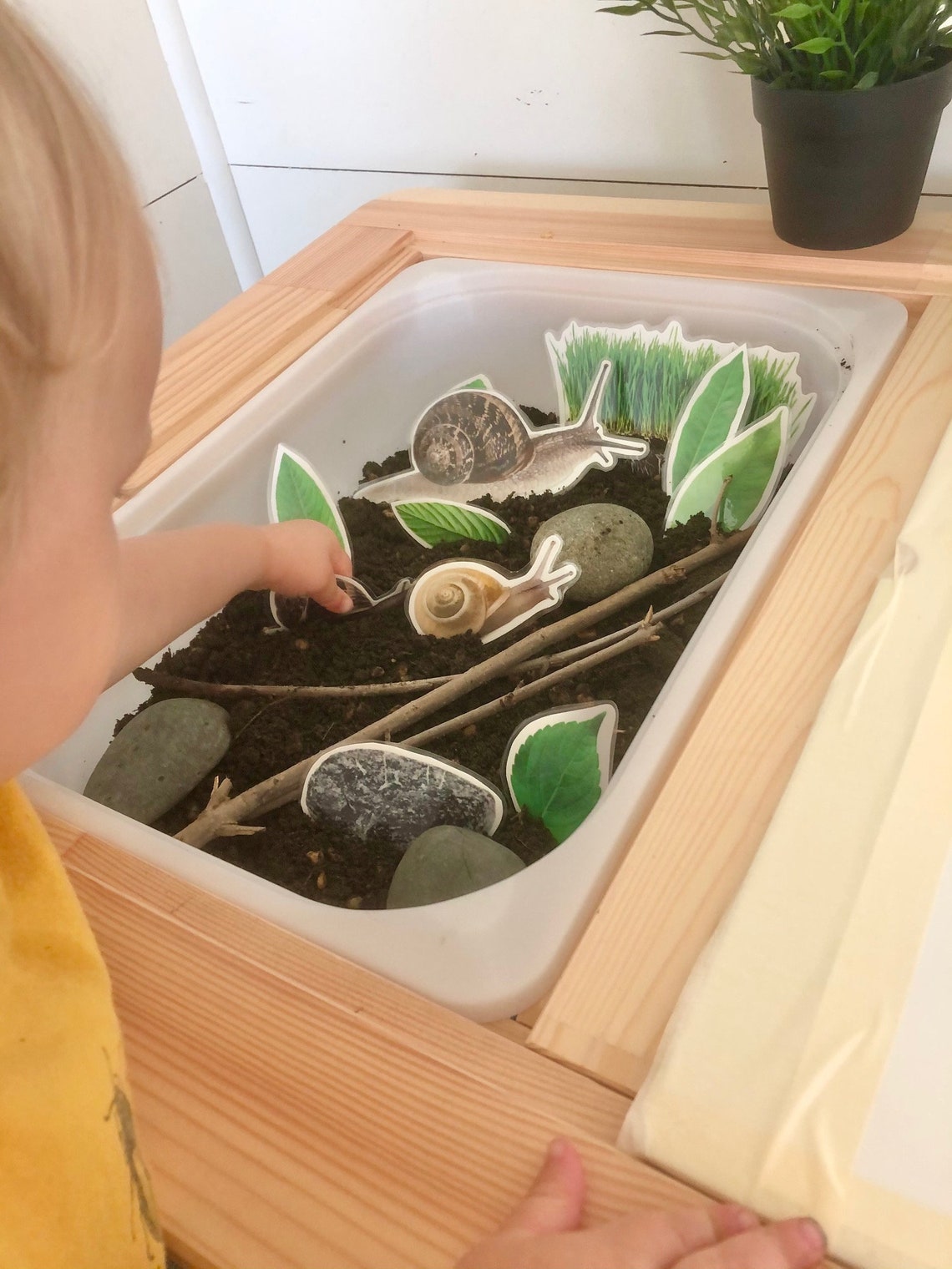 Snail Activity Set // PRINTABLE PDF // DIY Toddler Nature Color Letter ...