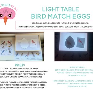 Easter Bird Egg Light Table Preschool Printable // Robin, Cardinal ...