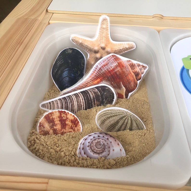 Summer Shell Drop Flisat Activity // DIY PRINTABLE PDF Set - Etsy