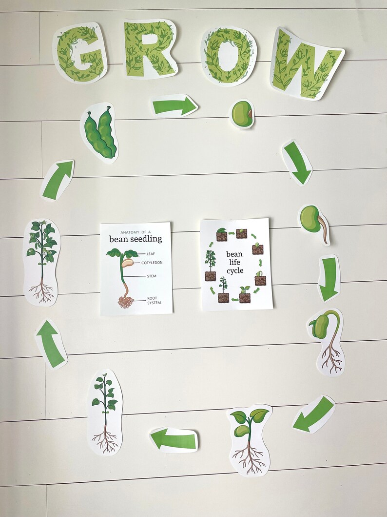 Bean Grow Extra Large Printable Classroom Diagram // DIY Homeschool ...