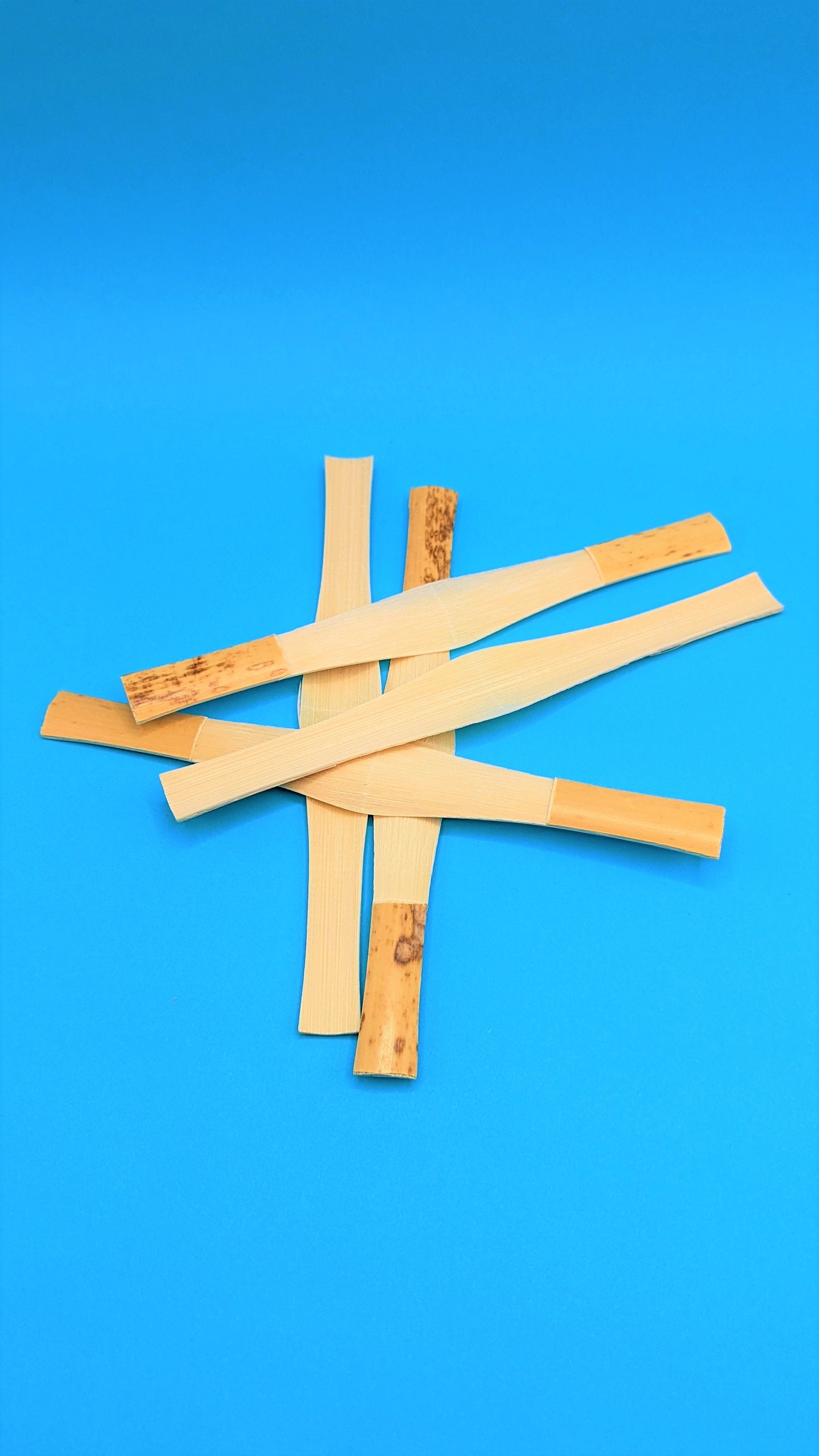 Products — The Reed Lab