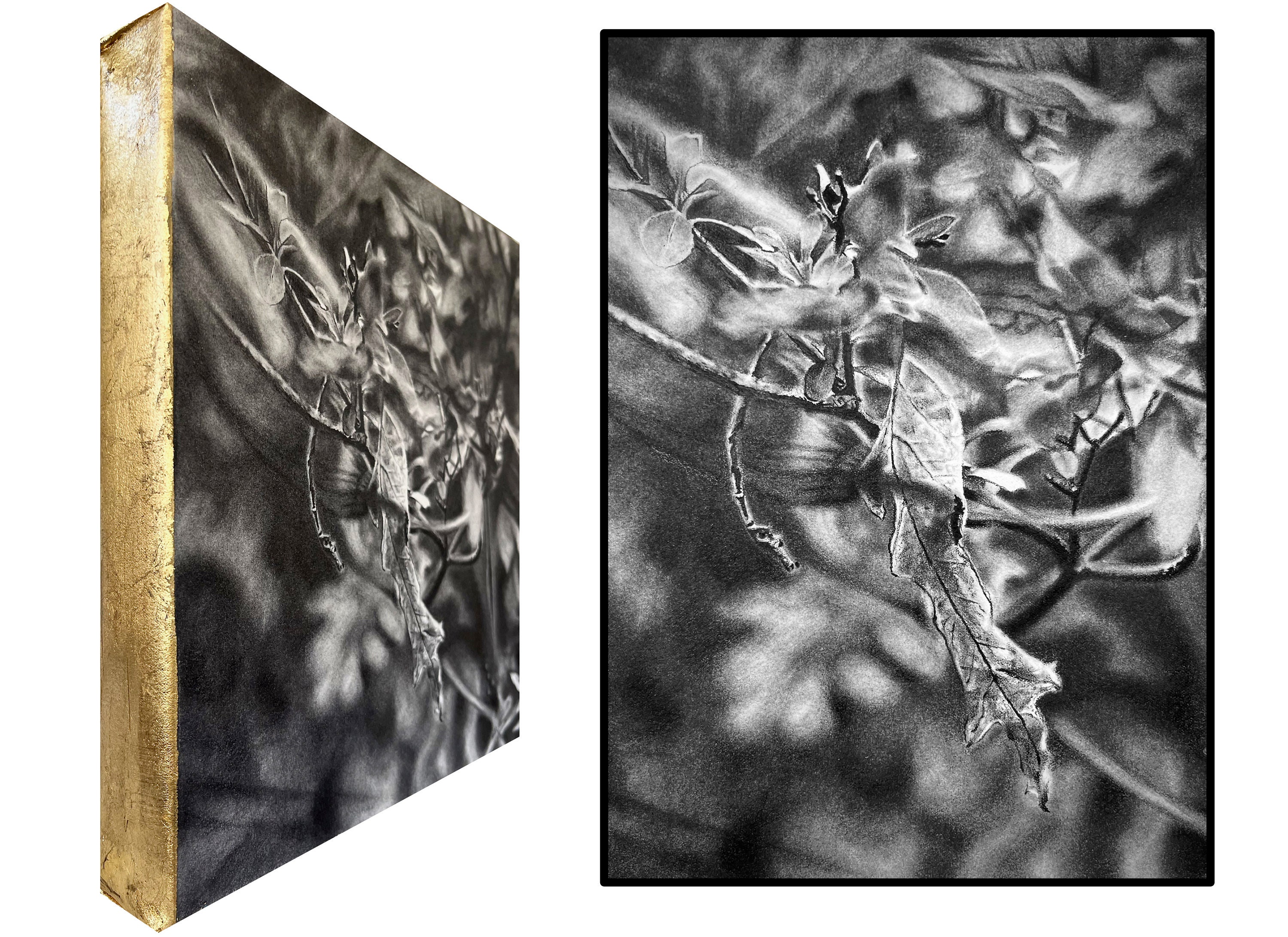 Leaf Pencil Drawing, Graphite Nature Artwork on Canvas With Gold-leaf ...