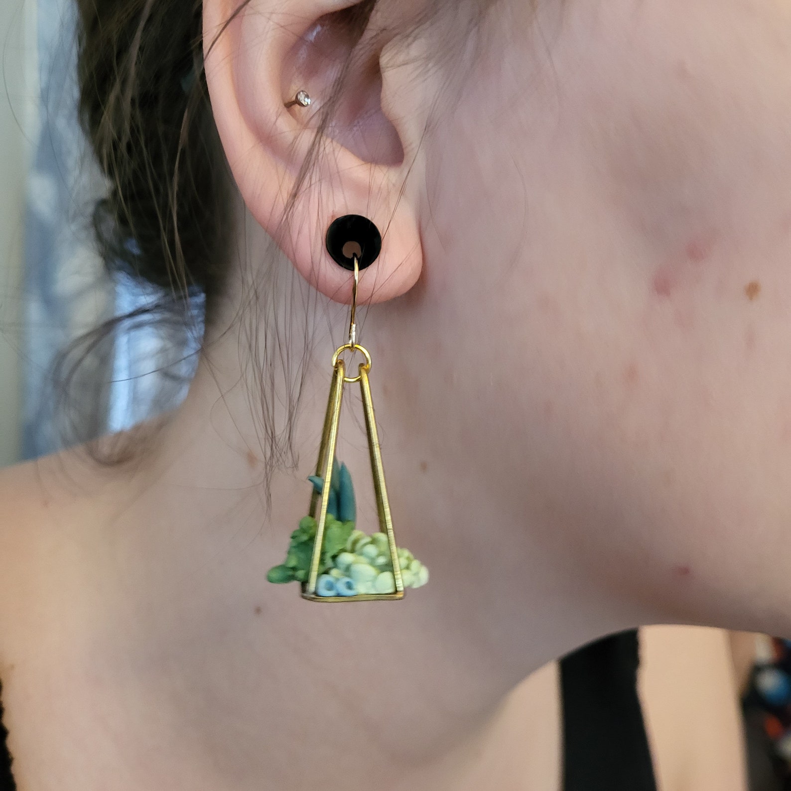 Succulent Terrarium Earrings, Pyramid Terrarium, Statement Earrings ...
