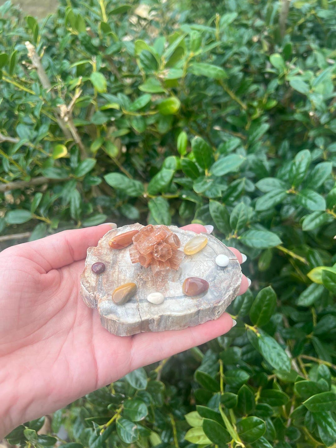 Grounding & Stability Crystal Grid- Petrified Wood, Mookaite, Aragonite ...