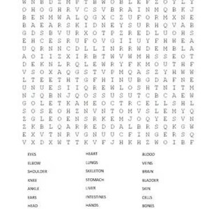 52 Word Search Bundle for Young Kids - Etsy