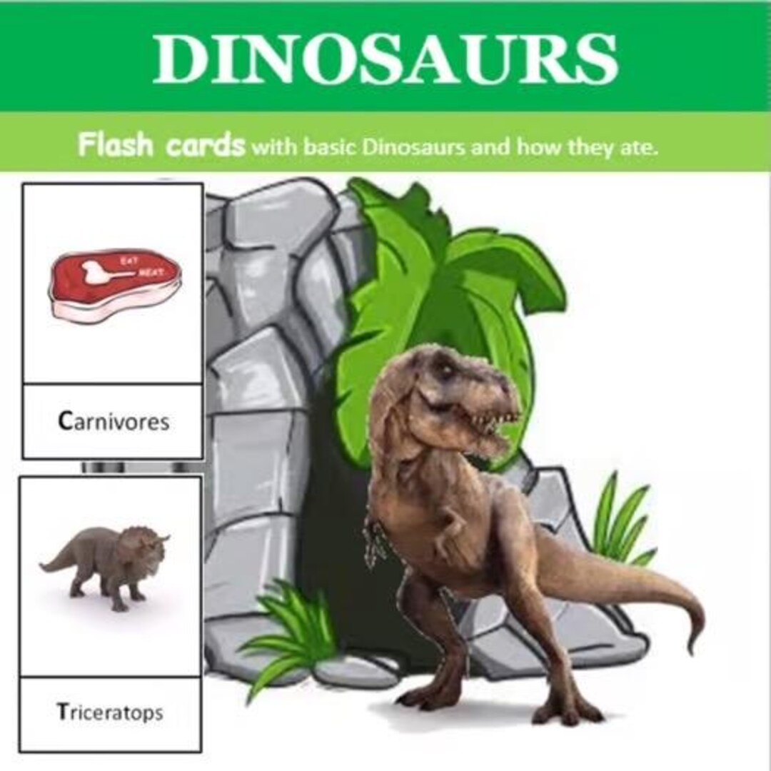 Tarjetas didácticas de dinosaurios - Etsy España