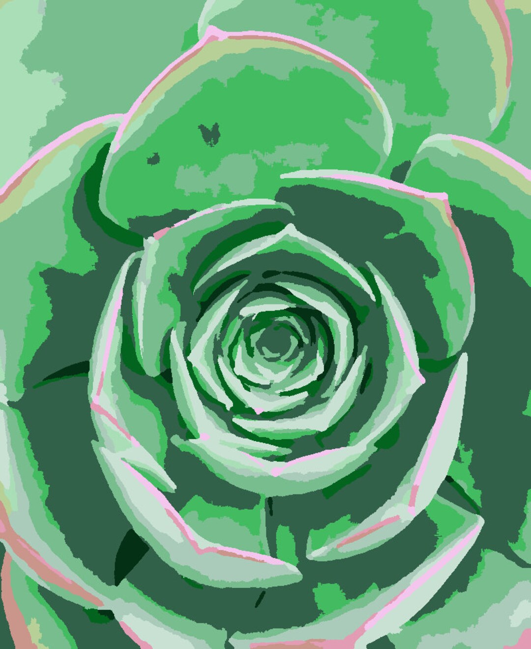 Succulent Printable Paint by Numbers - Etsy