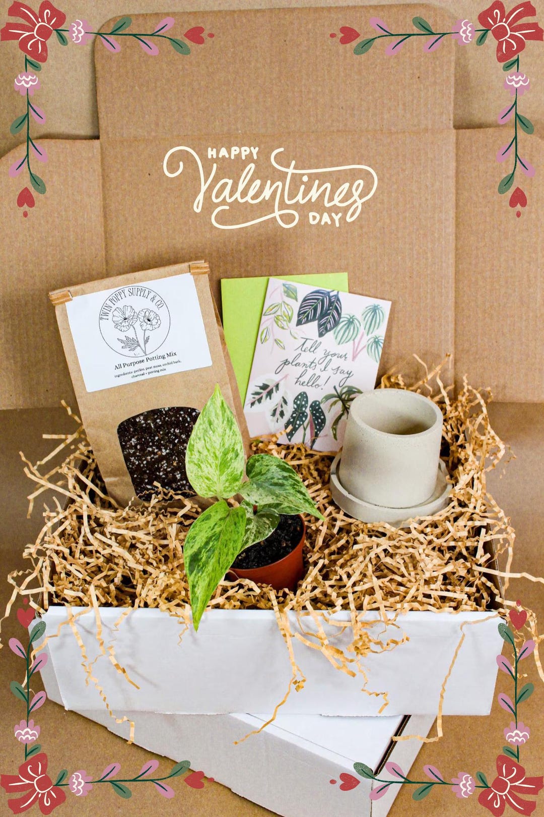 Valentine's Day Plant Gift Box | Handmade Concrete Planter, Live Plant ...