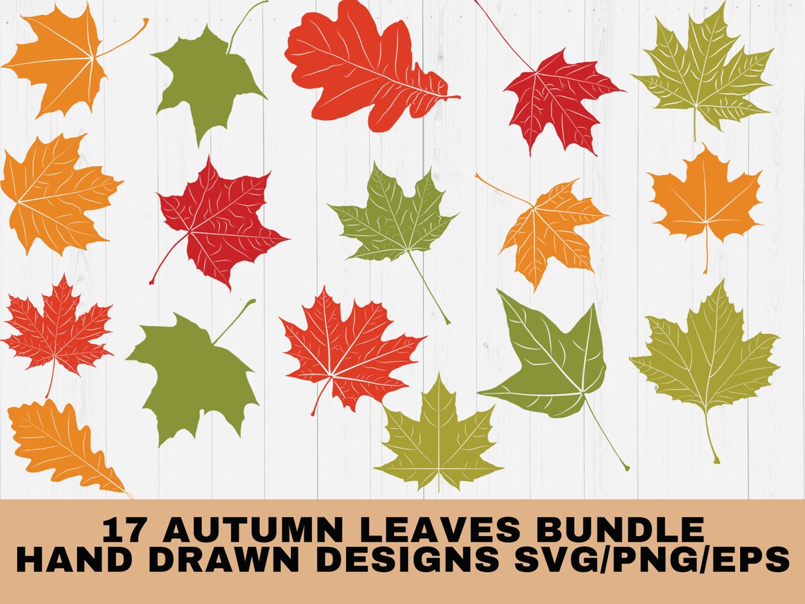 Autumn Leaves Svg Bundle Fall Leaves Svg Leaf Svg Png - Etsy