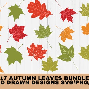 Autumn Leaves Svg Bundle Fall Leaves Svg Leaf Svg Png Clipart Fall Leaf ...