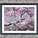 Sakura | DMC Cross Stitch Quality Pattern | Three Counted PDF Charts in ...