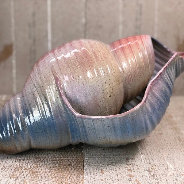 Seashell Pottery - Etsy