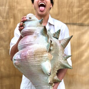 Giant Pottery Seashell. One of a Kind Ceramic Sculpture. - Etsy