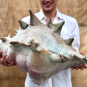 Giant Pottery Seashell. One of a Kind Ceramic Sculpture. - Etsy