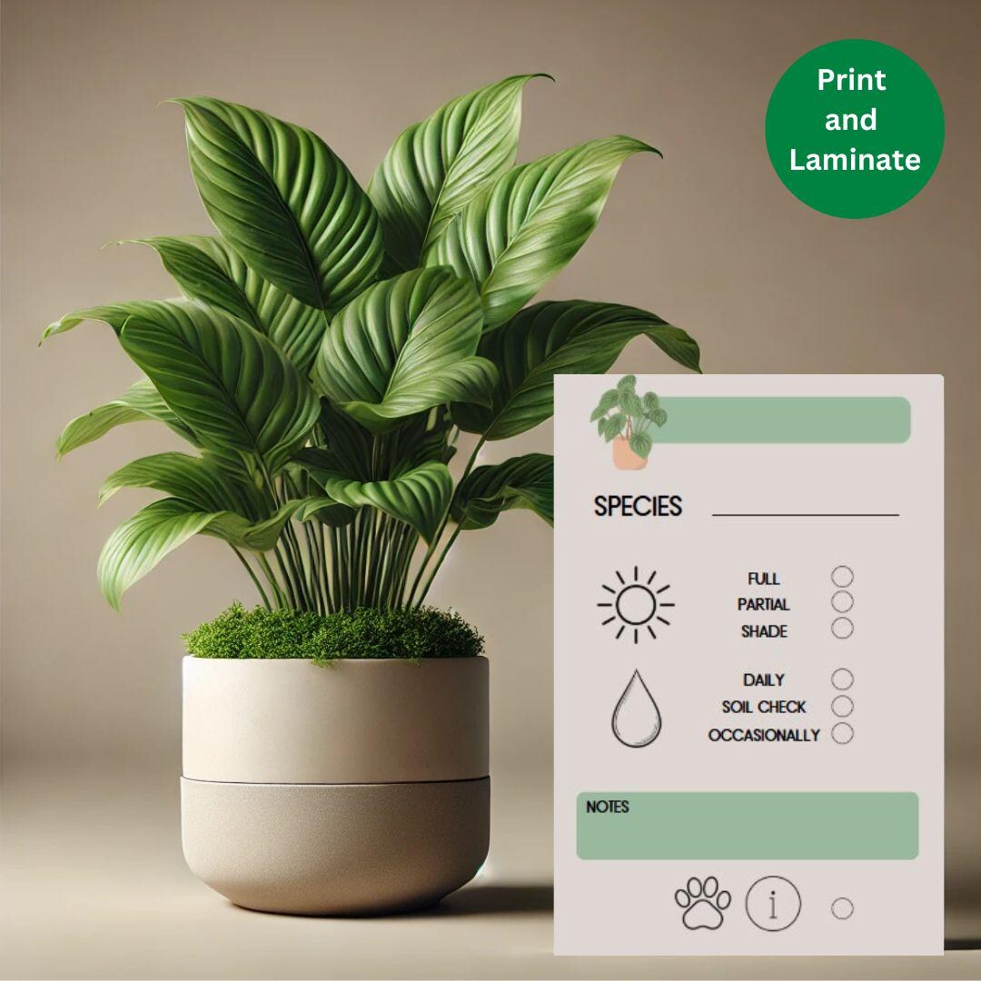 Plant Care Printable Tags, Labels for Plant Lovers, Housewarming Gift ...