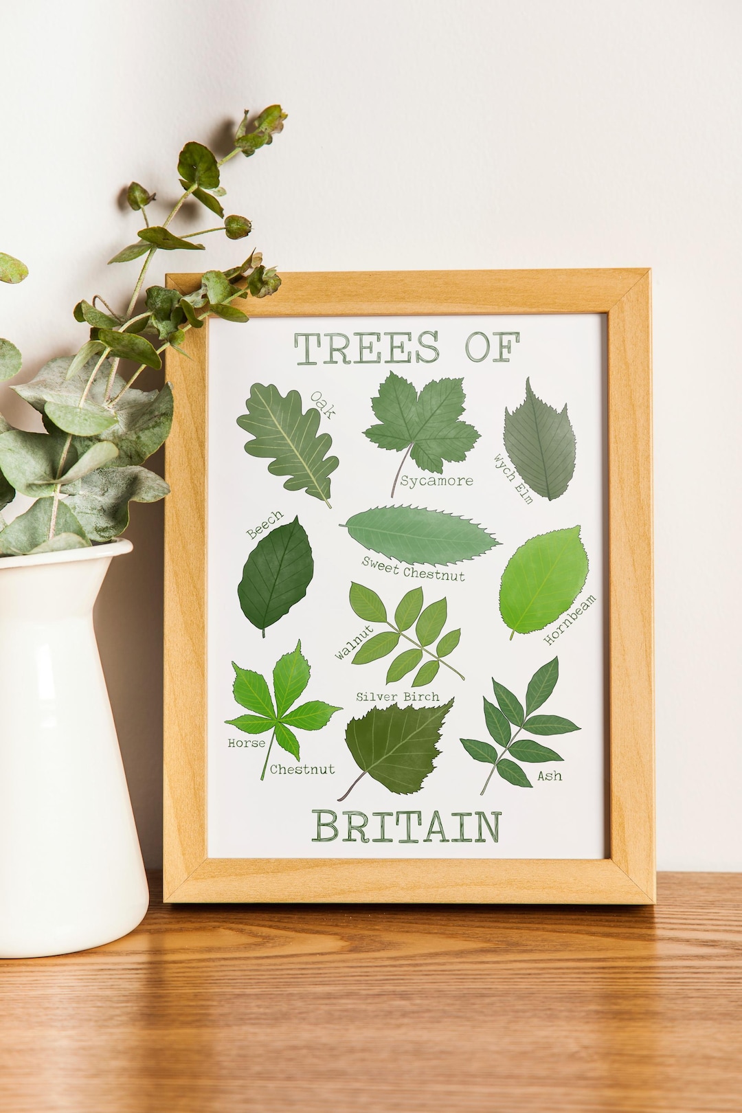 Trees of Britain Digital Art Print - Etsy UK