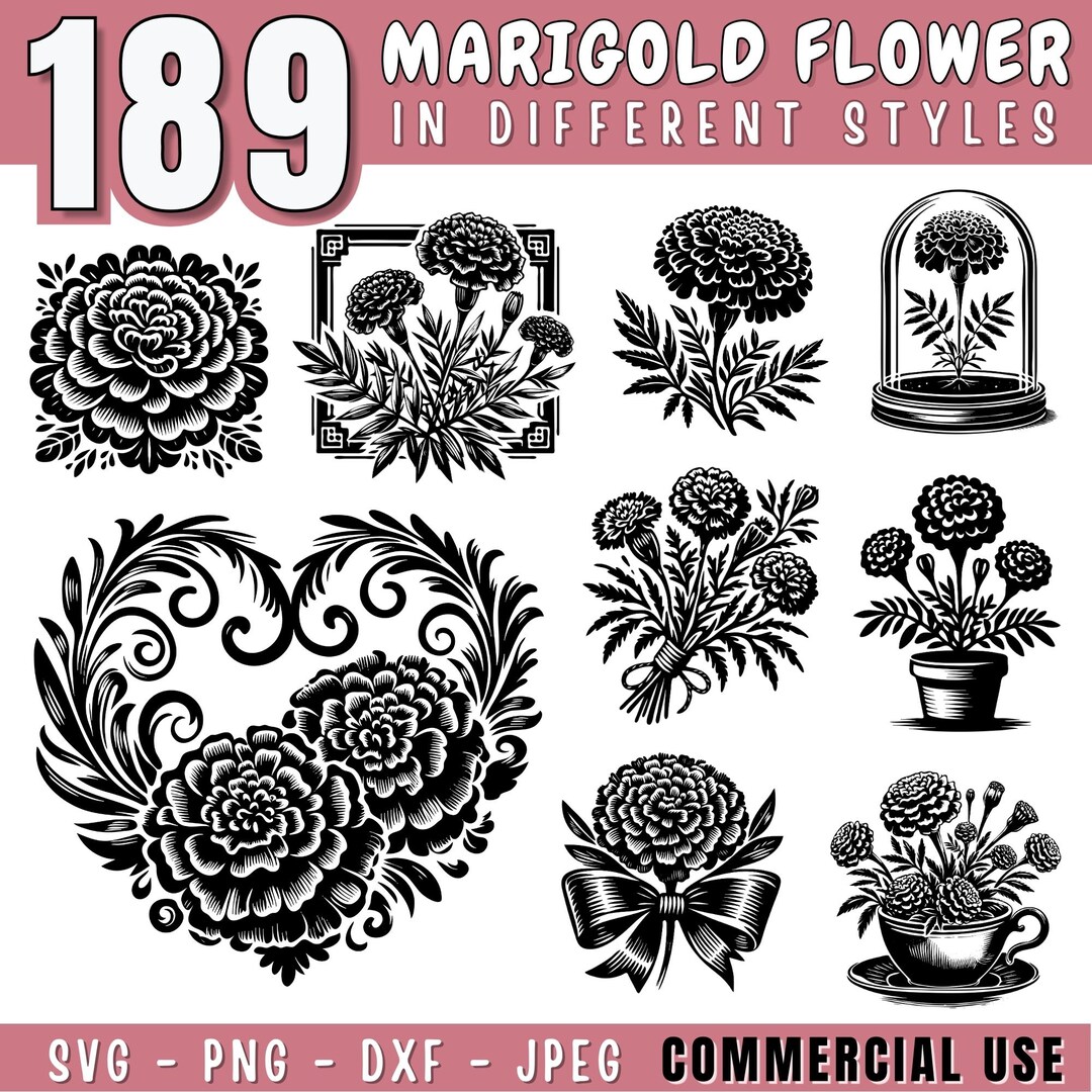 Marigold Flower Svg Bundle, October Birth Month Flower Svg, Flower ...