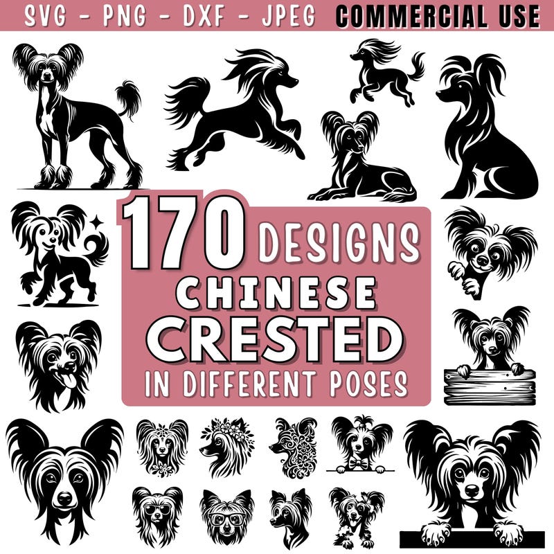 Chinese Crested Drawing - Etsy UK