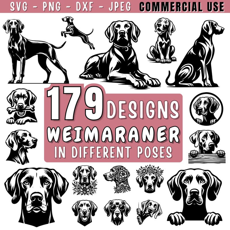 Weimaraner Art Vector - Etsy UK