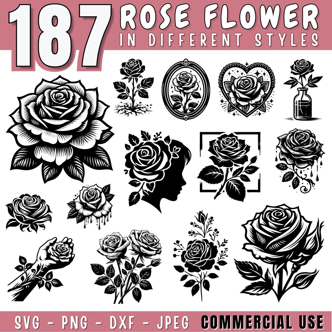 Rose Flower SVG Bundle, June Birth Month Flower Svg, Honeysuckle Flower ...
