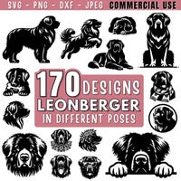 Leonberger SVG Bundle, Leonberger Clipart, Hand Drawn Dog Theme Vector ...