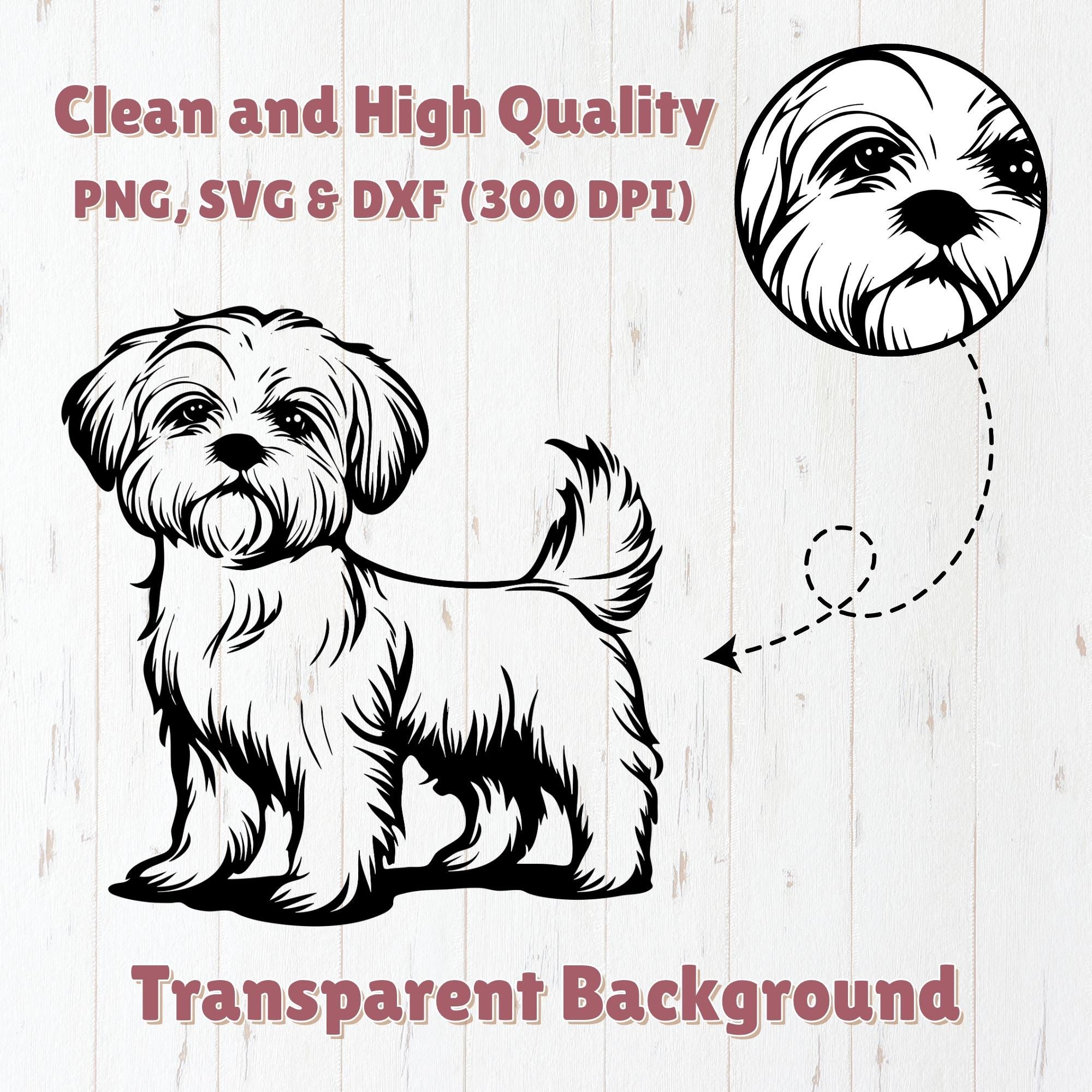 Maltese Dog SVG Bundle | Peeking & Silhouette Maltese Dog Clipart ...