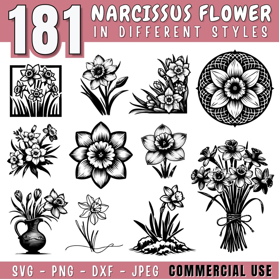 Narcissus Flower SVG Bundle, December Birth Month Flower Svg, Holly ...
