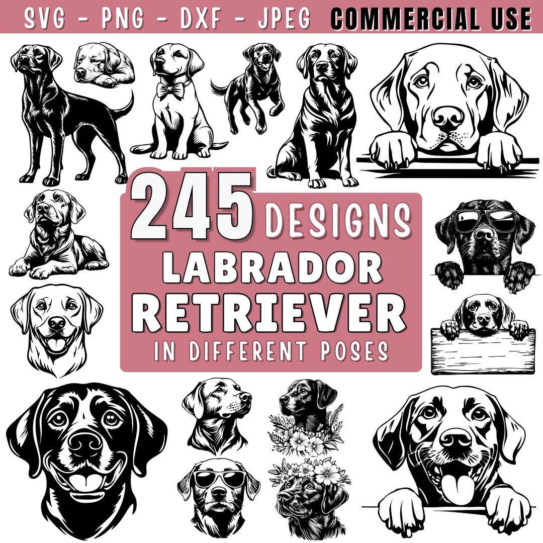 Labrador Retriever SVG Bundle File, Dog Graphics, Dog Clipart for ...