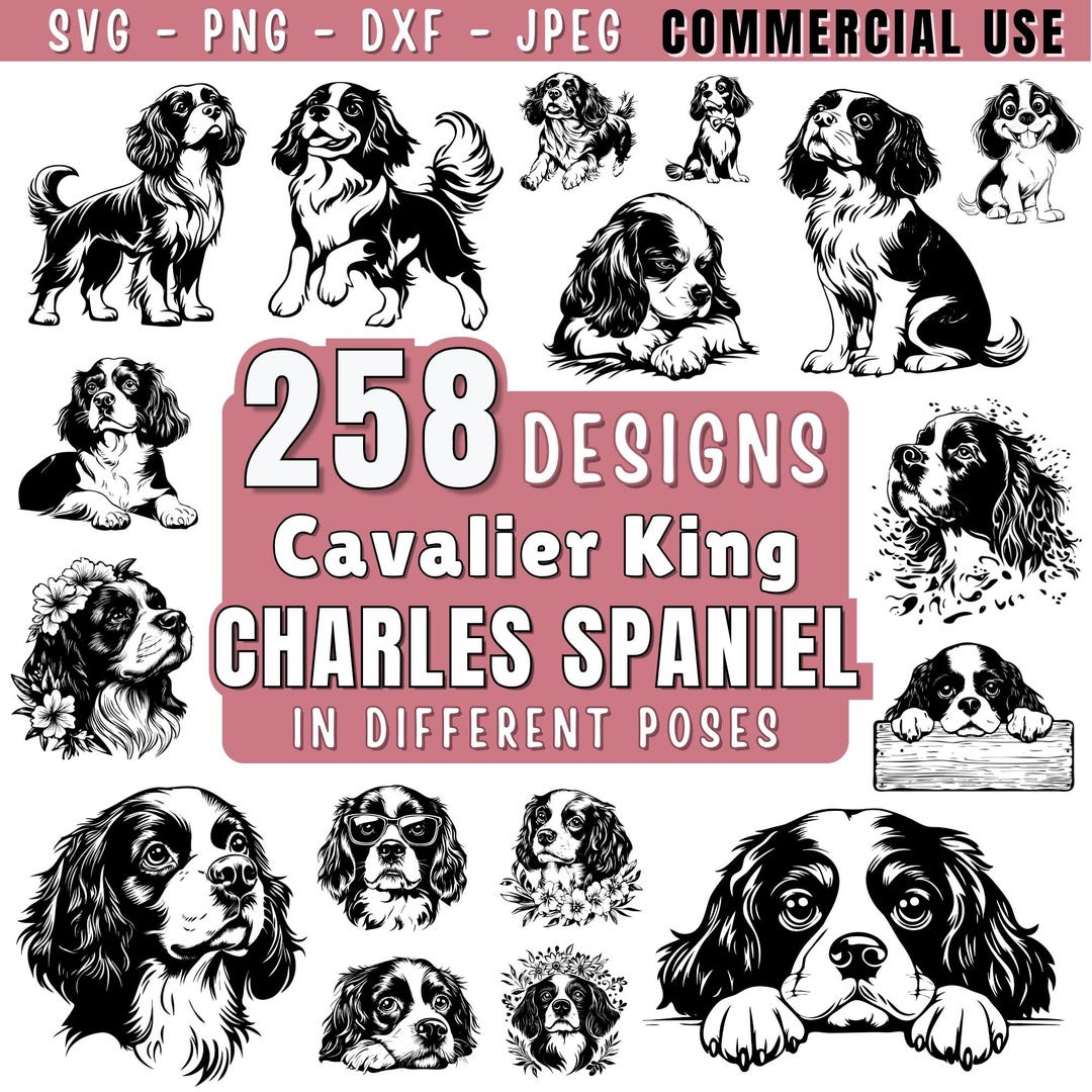 Cavalier King Charles Spaniel Dog SVG Bundle File, Dog Pet Lover, Dog ...