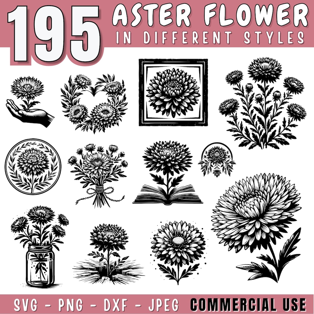 Aster Flower SVG Bundle, September Birth Month Flower Svg, Morning ...