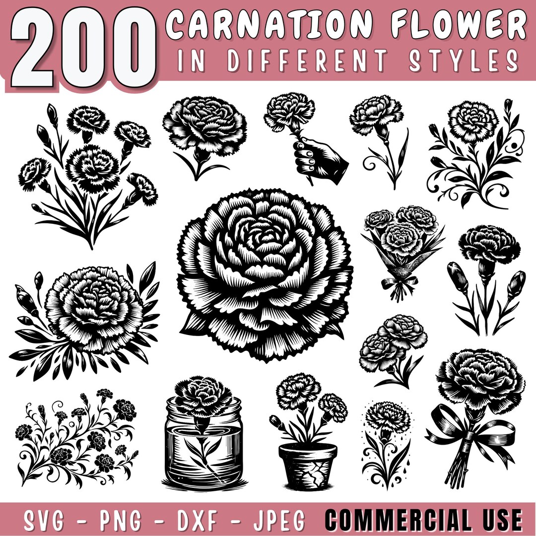 Carnation Flower Svg Bundle, Flower Clipart for Cricut, Carnation ...
