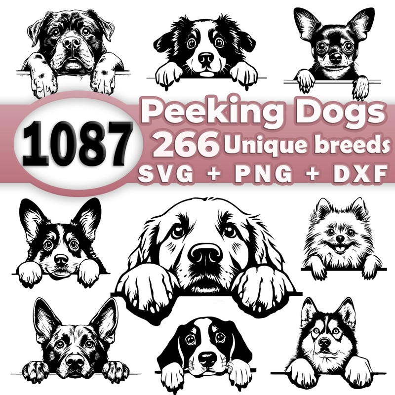 Peeking Lab Svg - Etsy