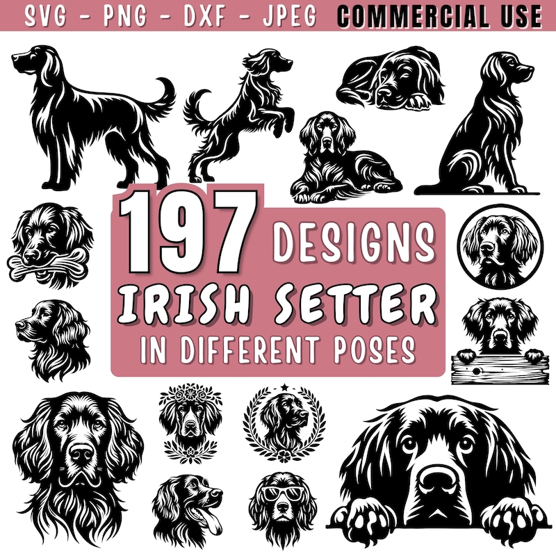 Irish Setter Art - Etsy