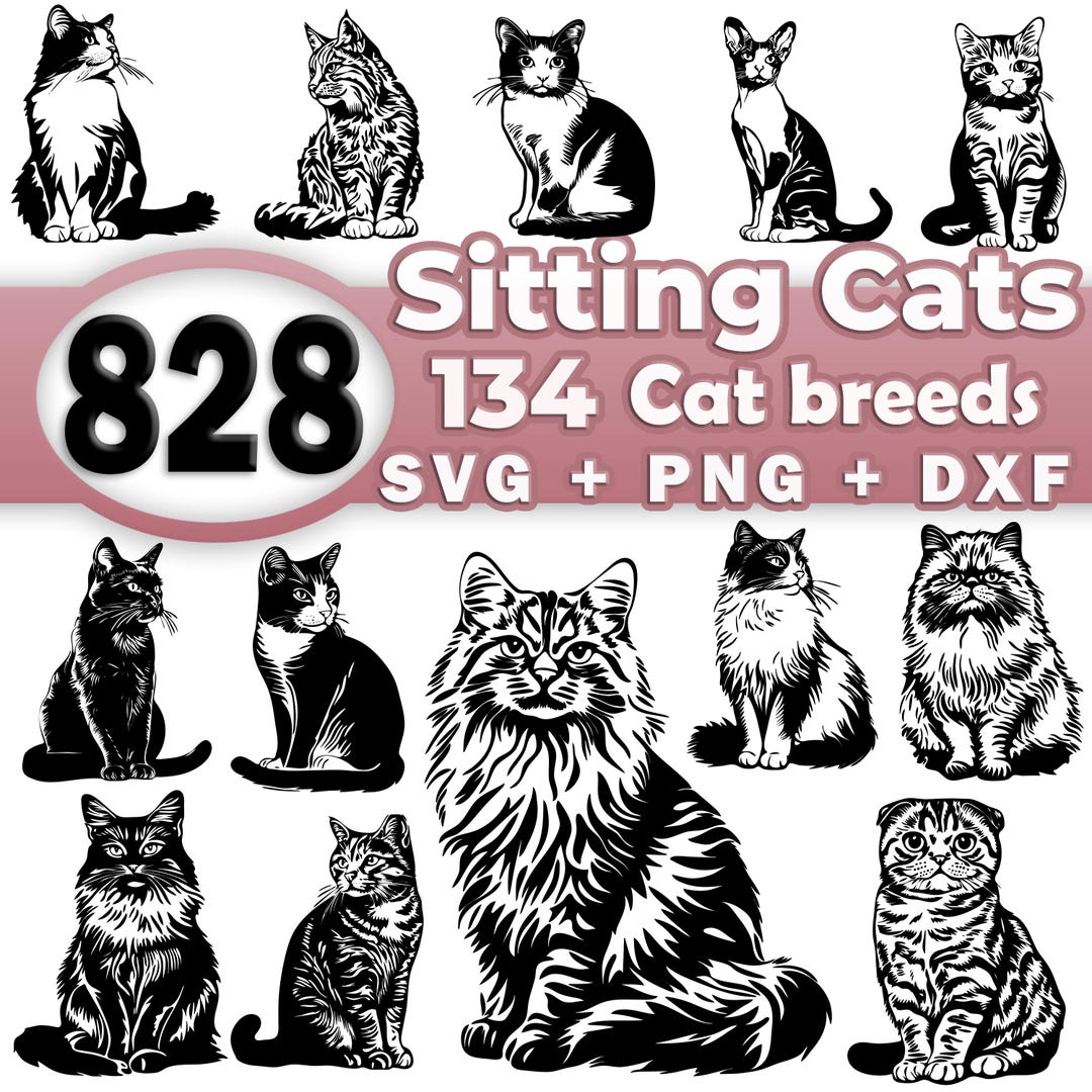 Cats SVG File Bundle Pack - All Cat Breed Silhouettes & Cut Files High ...