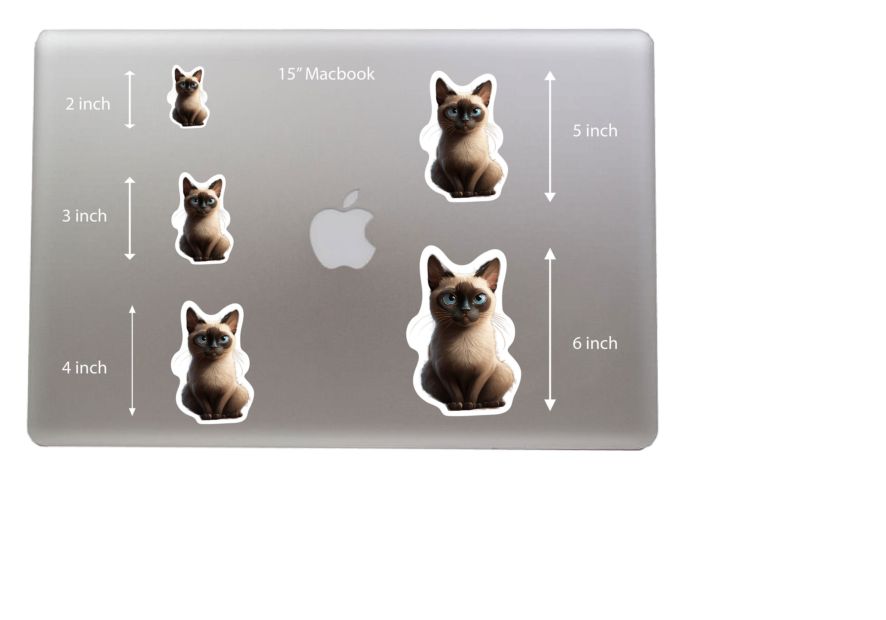 Grumpy Siamese Cat Kitten Full Color Vinyl Sticker Water - Etsy