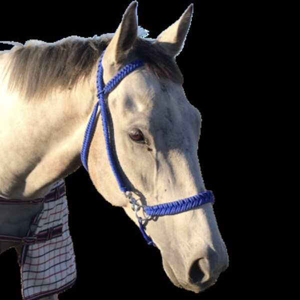 Rope Bridle - Etsy