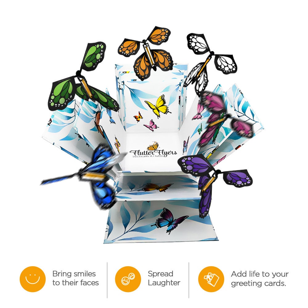 Butterfly Surprise Box With Flying Butterflies – Unique Gift Box for ...