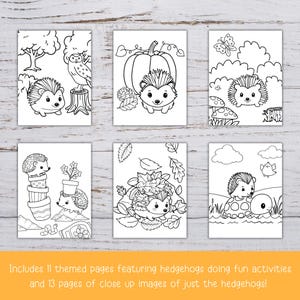 Hedgehog Coloring Pages, Kids Coloring Sheets, Printable Coloring Pages ...