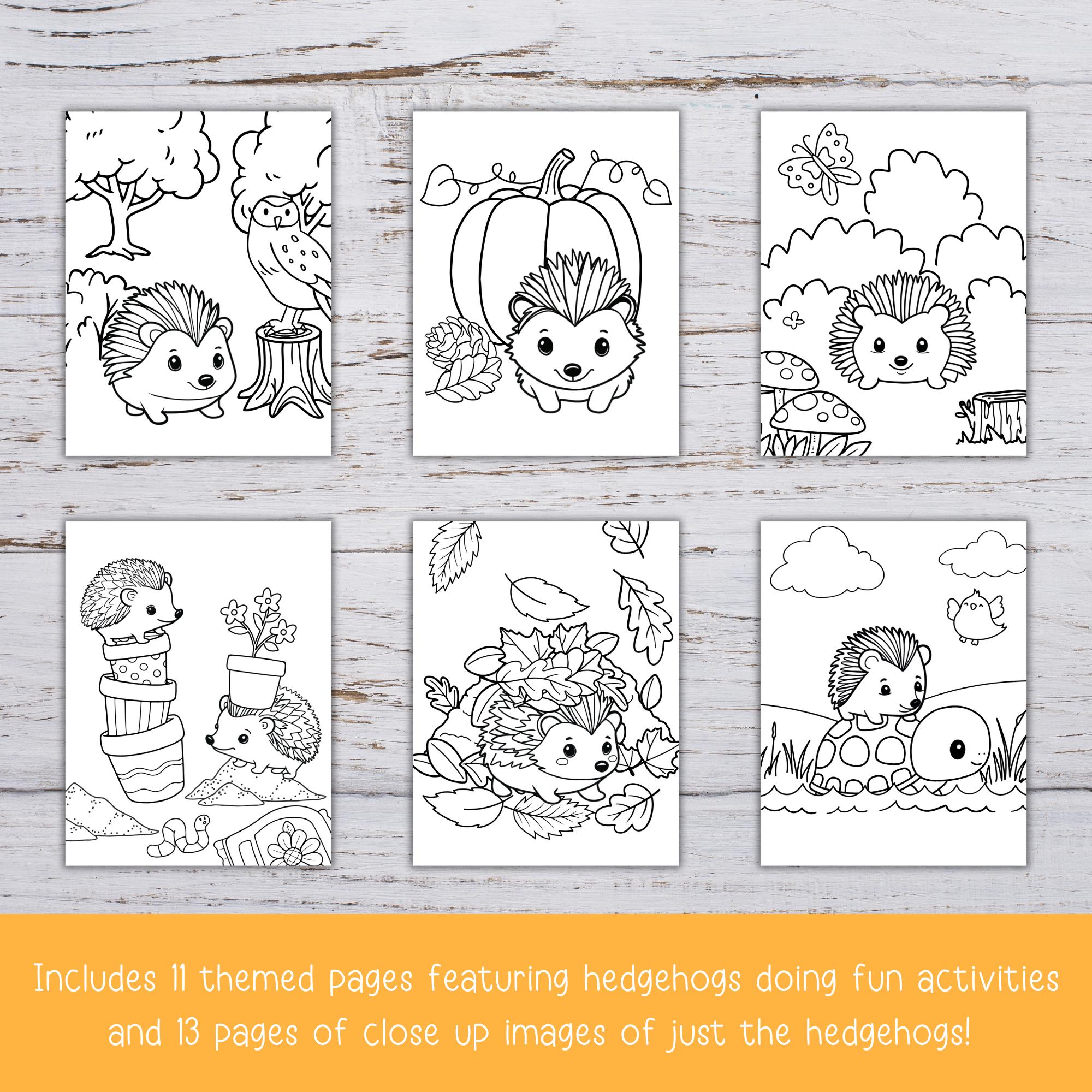Hedgehog Coloring Pages, Kids Coloring Sheets, Printable Coloring Pages ...