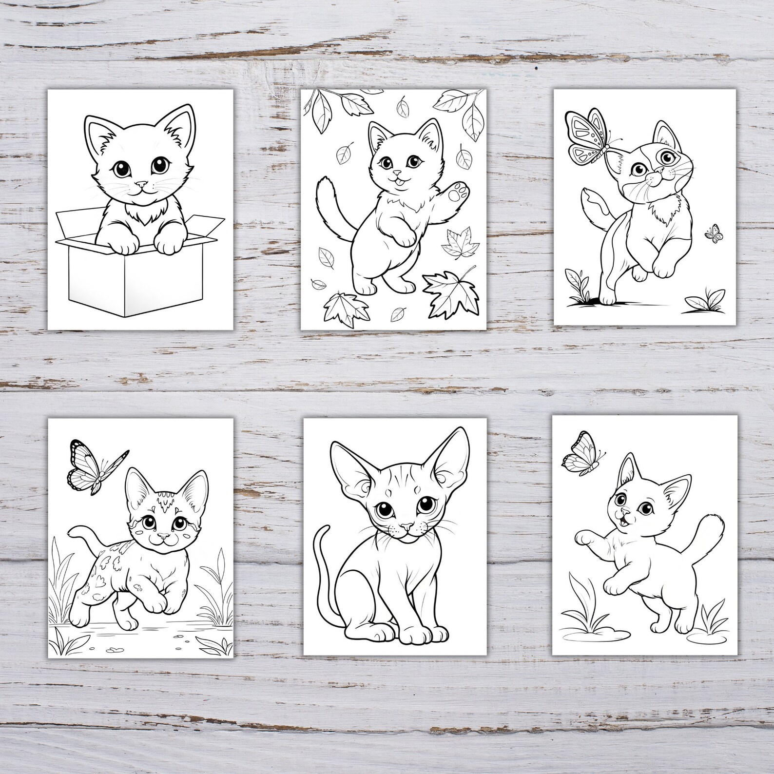 Kitten Coloring Pages, Multiple Cat Breeds (printable PDF) - Etsy