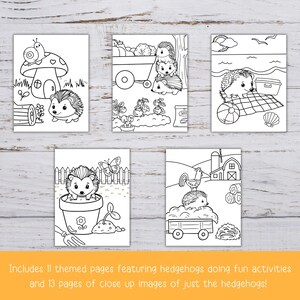 Hedgehog Coloring Pages, Kids Coloring Sheets, Printable Coloring Pages ...