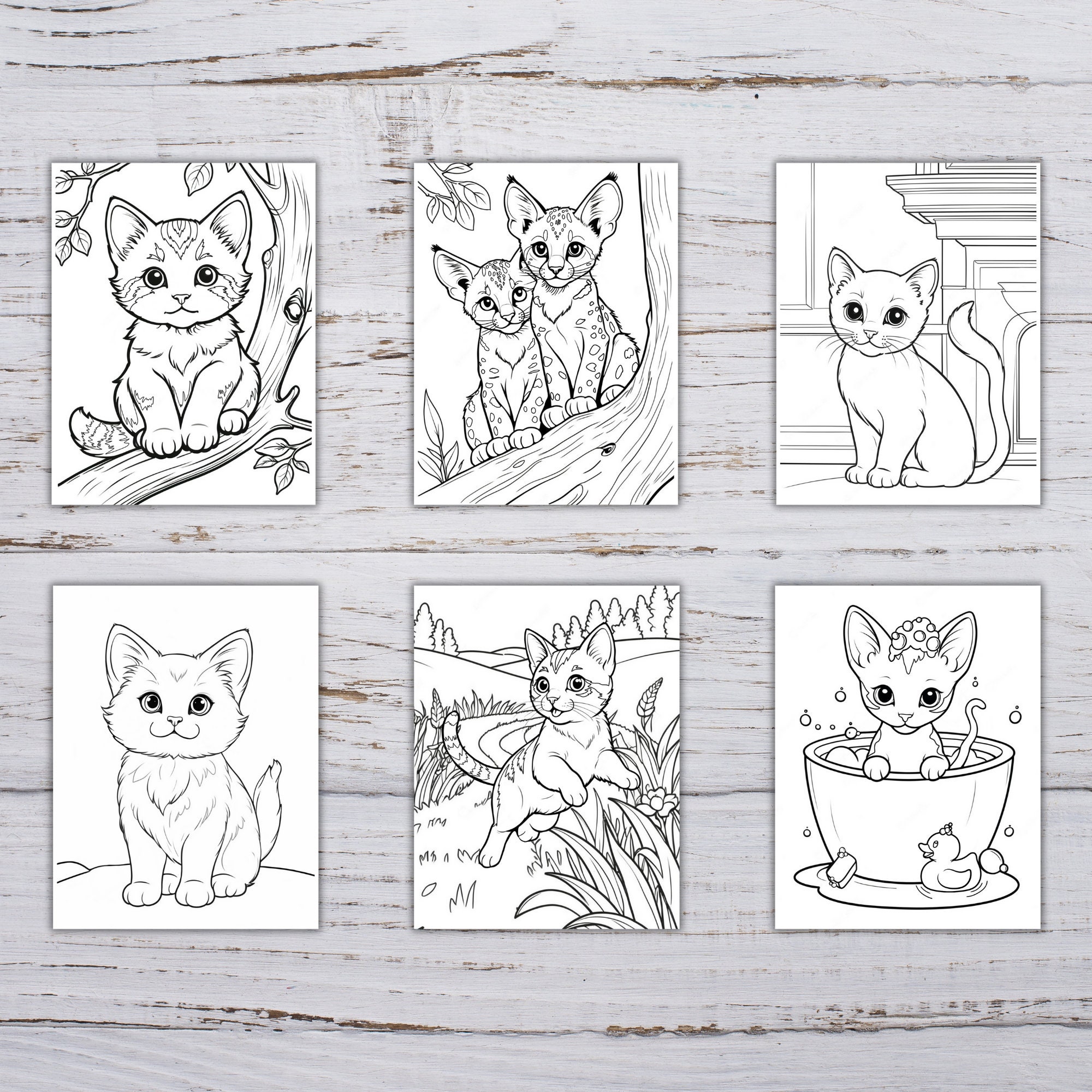 Kitten Coloring Pages, Multiple Cat Breeds (printable PDF) - Etsy