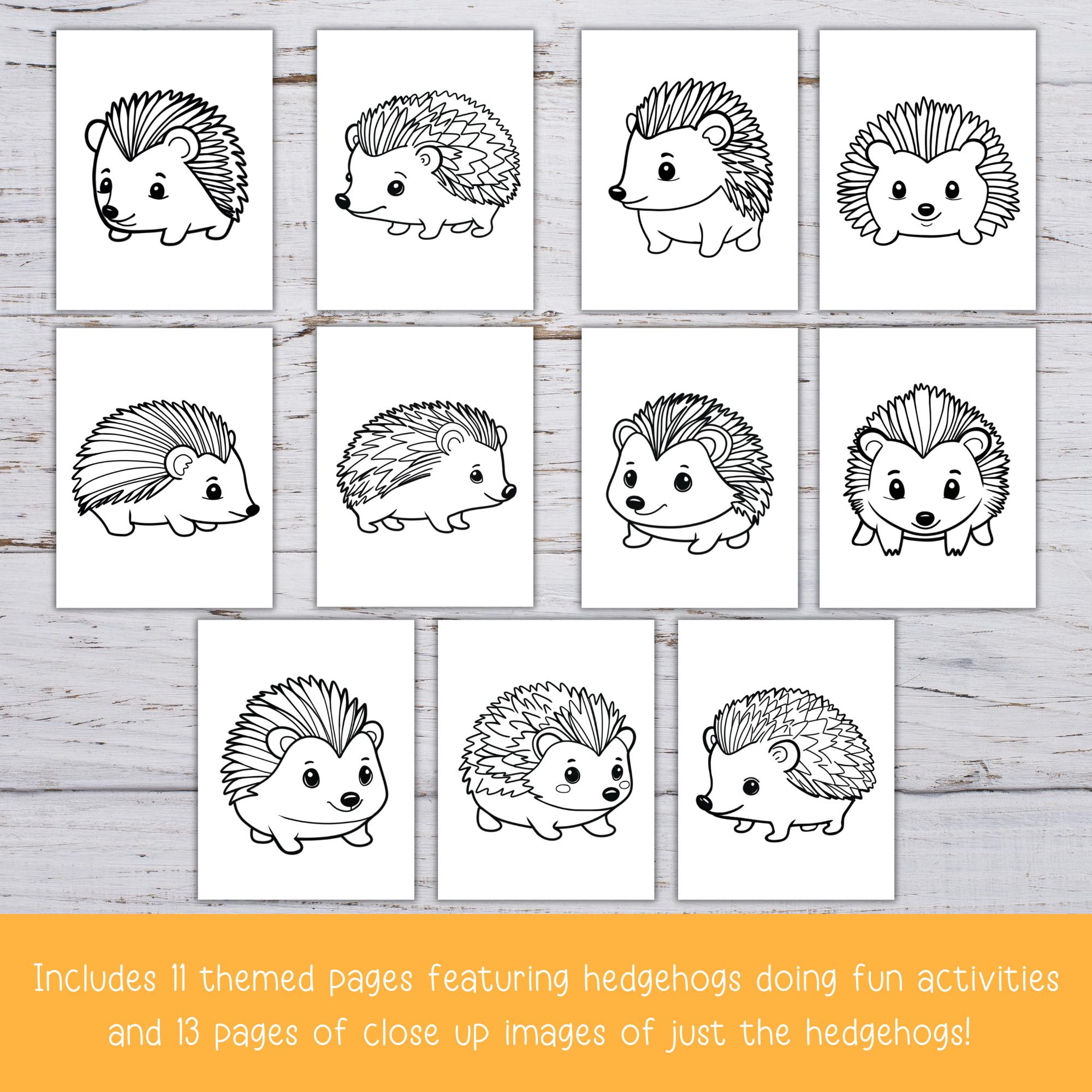 Hedgehog Coloring Pages, Kids Coloring Sheets, Printable Coloring Pages ...