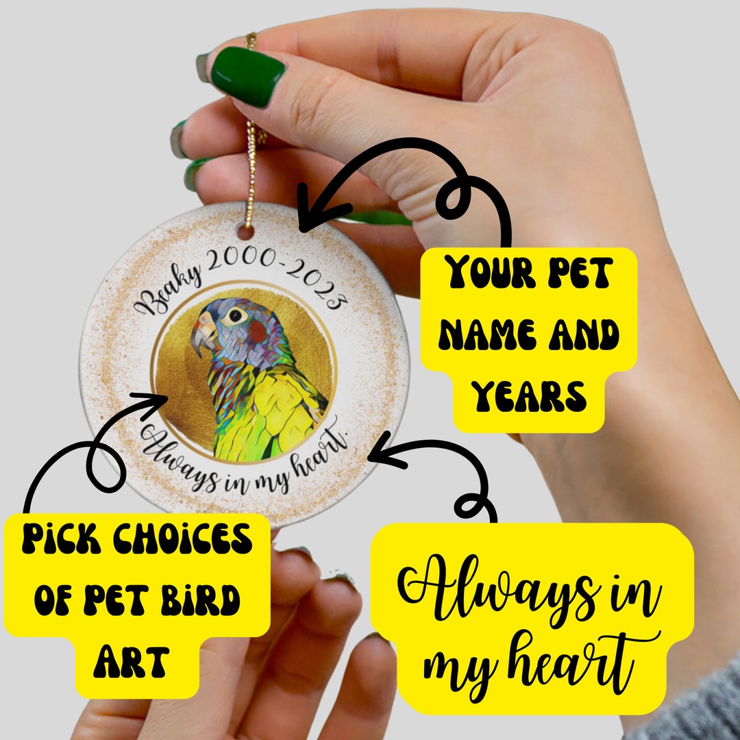 Customize Pet Bird Parrot Name and Years Always in My Heart Memorial ...