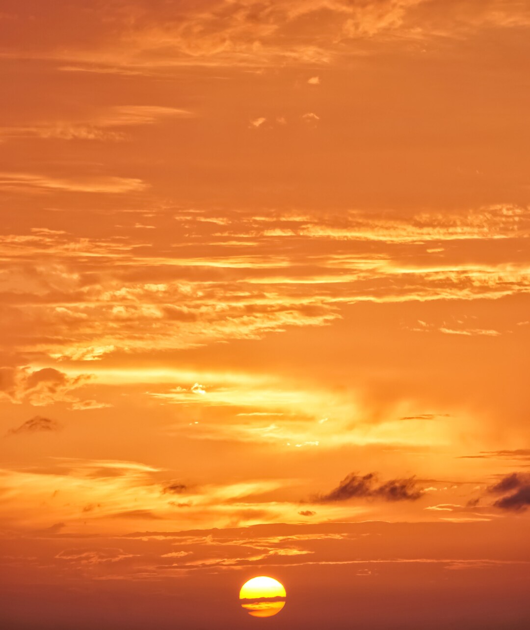 Saharan Dust Sunset 13wx19h Venice Beach, Florida, Wall Art, Metal ...