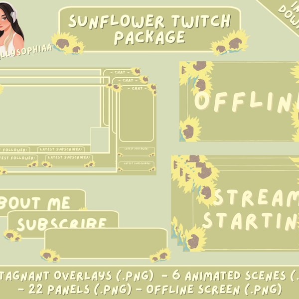 Twitch Overlay - Etsy