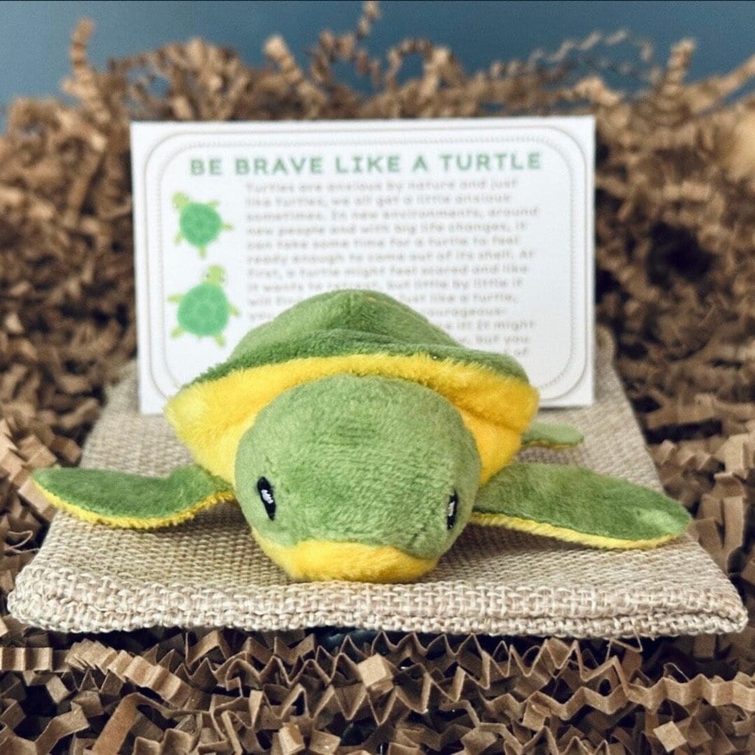 Pocket Animal Worry Pet Anxiety Relief Gift Set for Kids Animal Lover ...